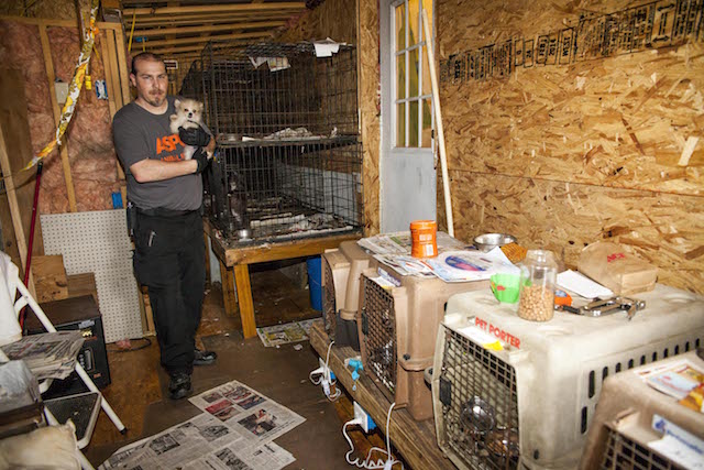 The Truth About Puppy Mills