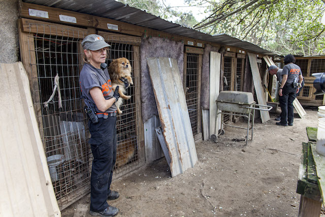 The Truth About Puppy Mills